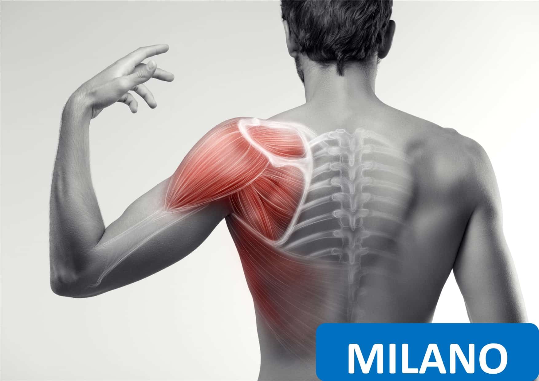 La spalla: valutazione clinica e trattamento riabilitativo